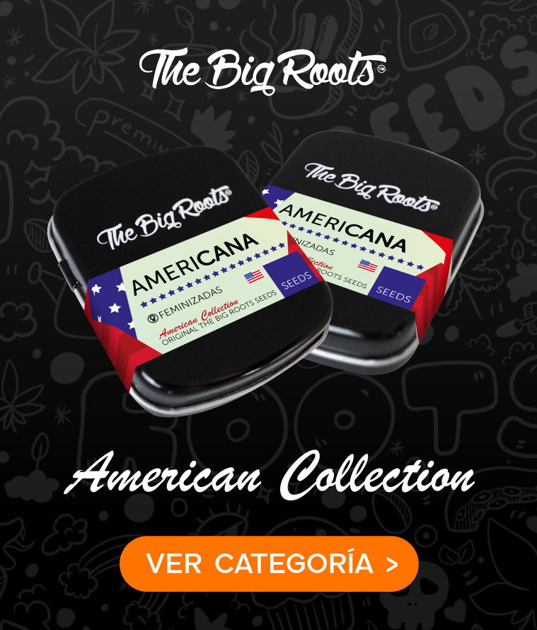 TBR Distribuciones